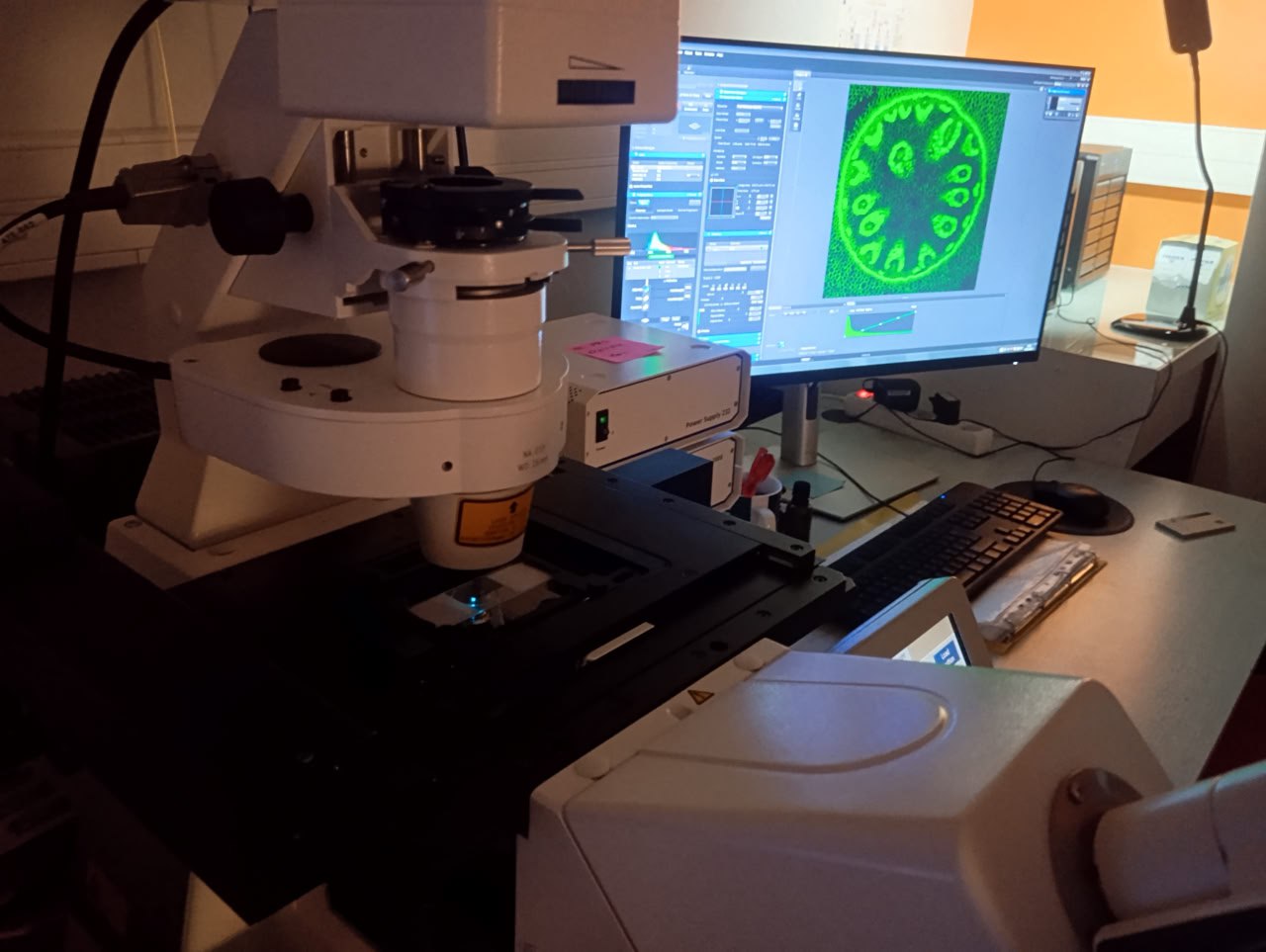 Zeiss LSM 710 inverted - SIBCI